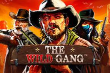 Mega Win Slots – Play & Win Big Jackpots Now